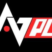 The Player Auction - AVPL